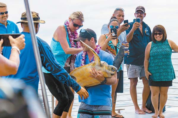 Ocean Center releases 4 turtles into wild | News, Sports, Jobs - Maui News